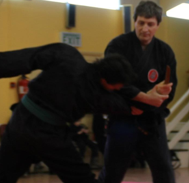 Instructor – Bujinkan shinjitsu Dojo